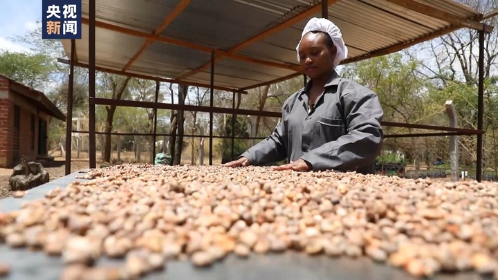 世界周刊丨中国吸引力_我苏网